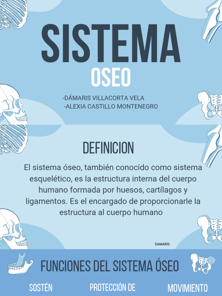 Presentación Diapositivas Anatomía Cuerpo Humano Ilustrativo Simple ...