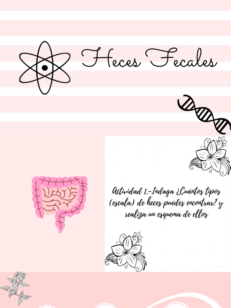 Presentación de Las Heces Fecales | PDF | Heces | Bilis