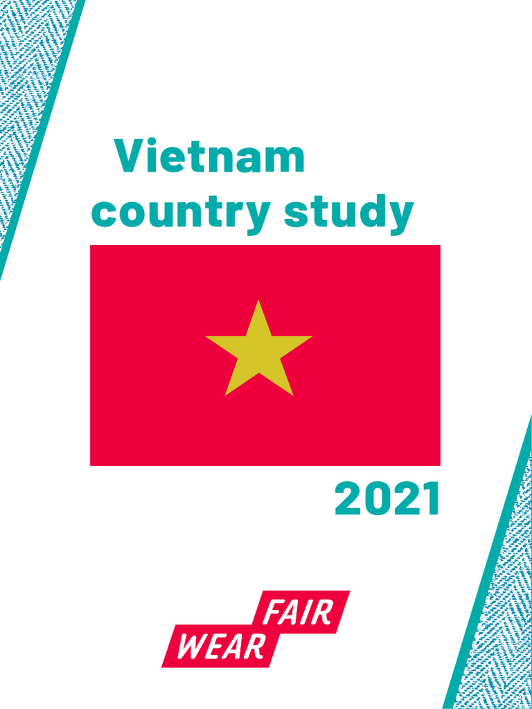 Vietnam Country Study 2020 | PDF