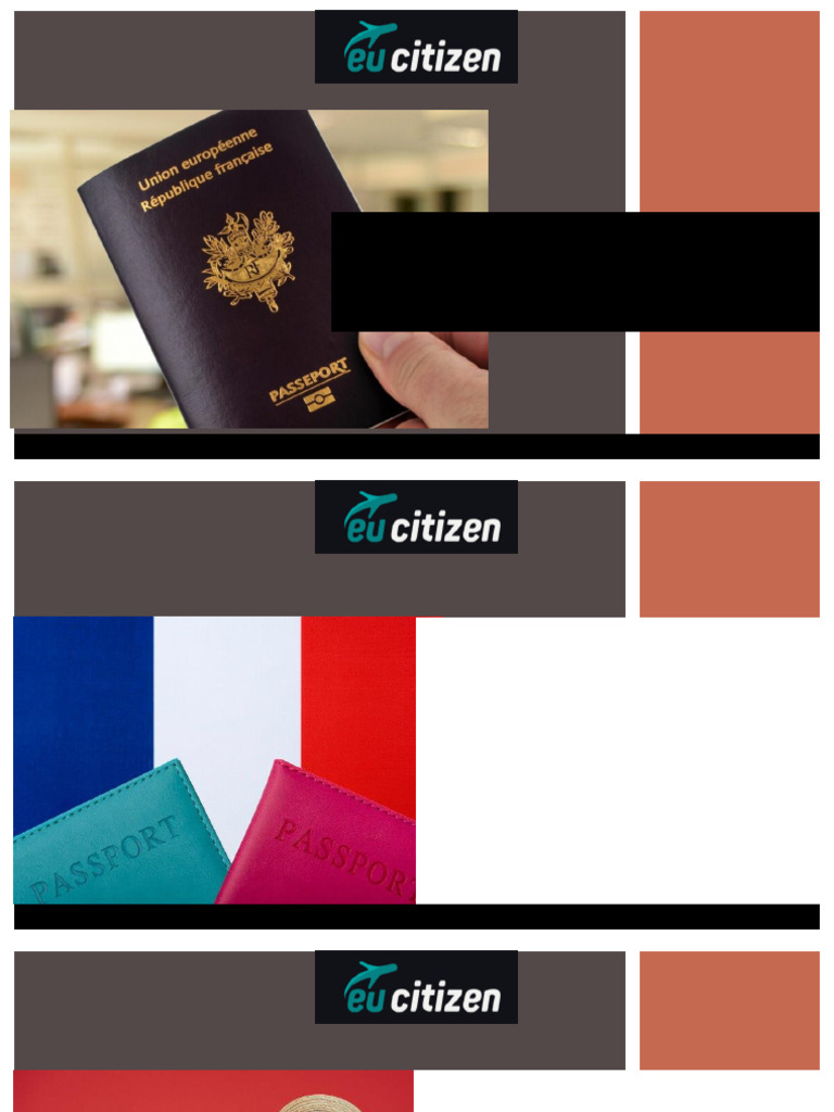 French Citizenship Assistance UAE | PDF | United Arab Emirates | Business