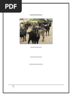 Cattle Project Proposal | PDF | Cattle | Livestock