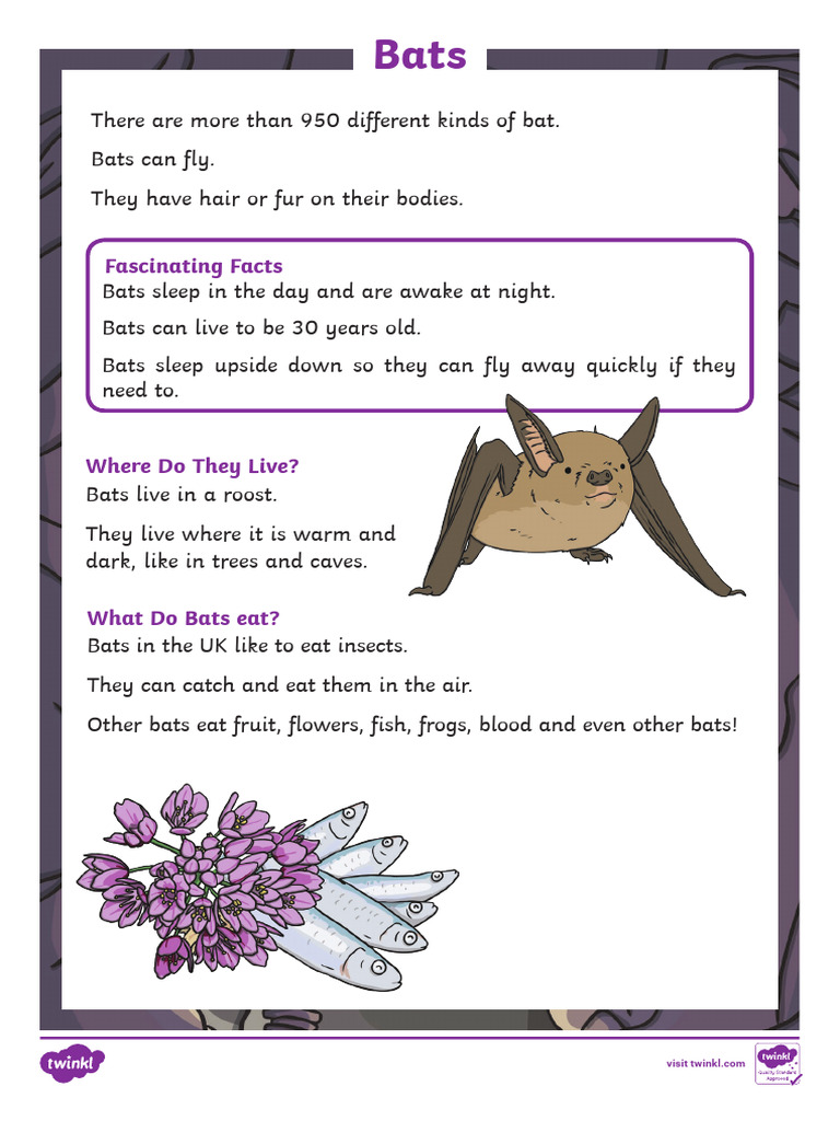 Bats | PDF