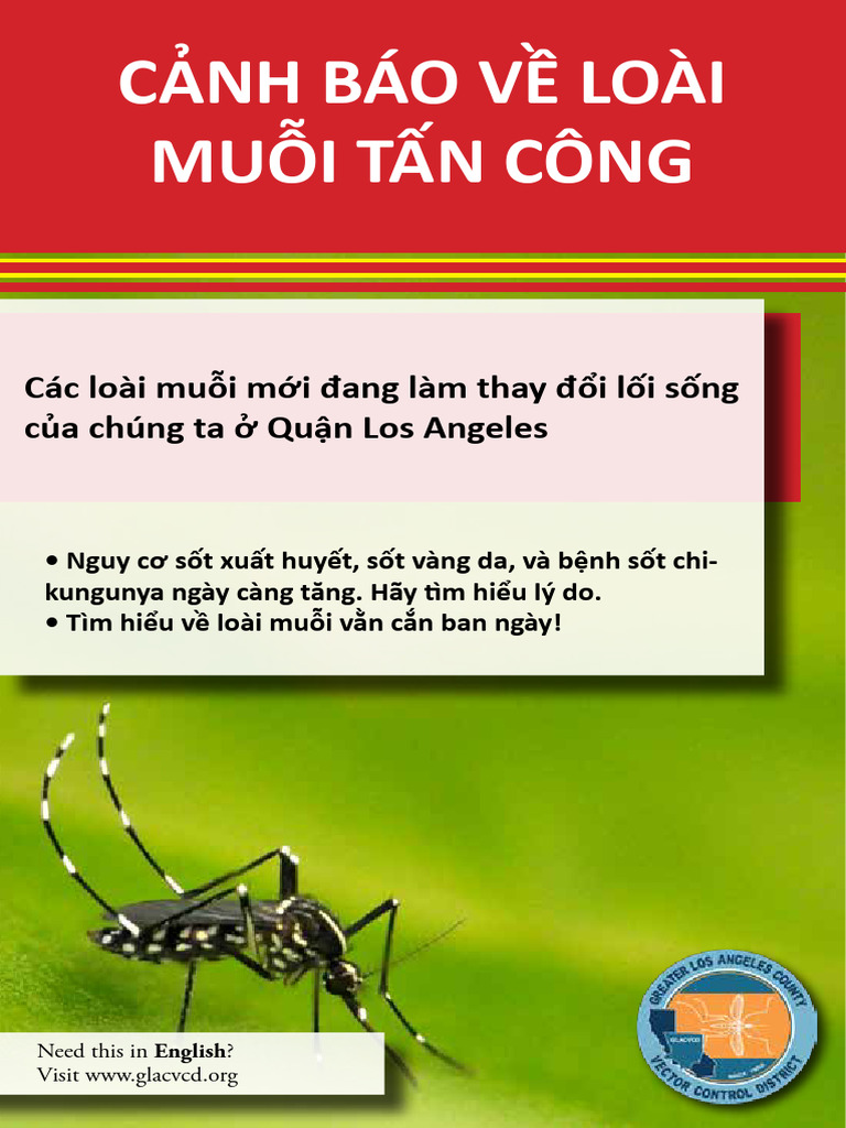 Brochure Invasive Mosquitoes Vietnamese | PDF