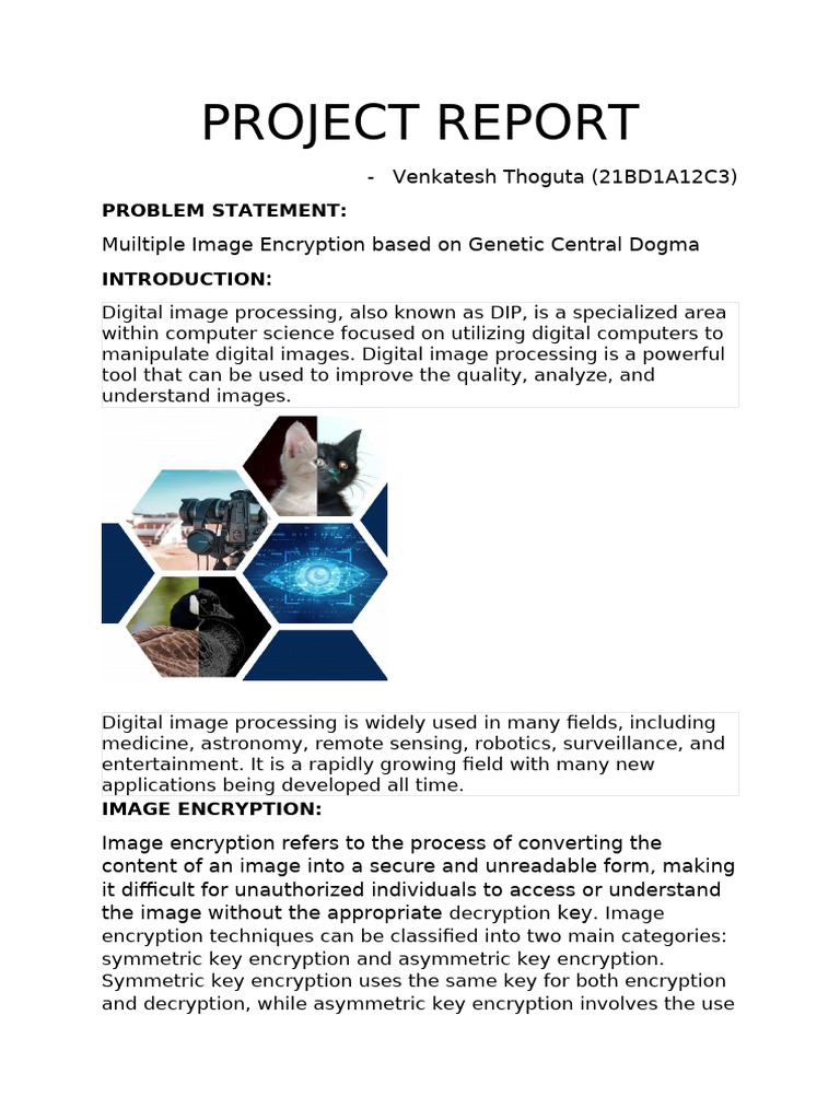 Project Report | PDF