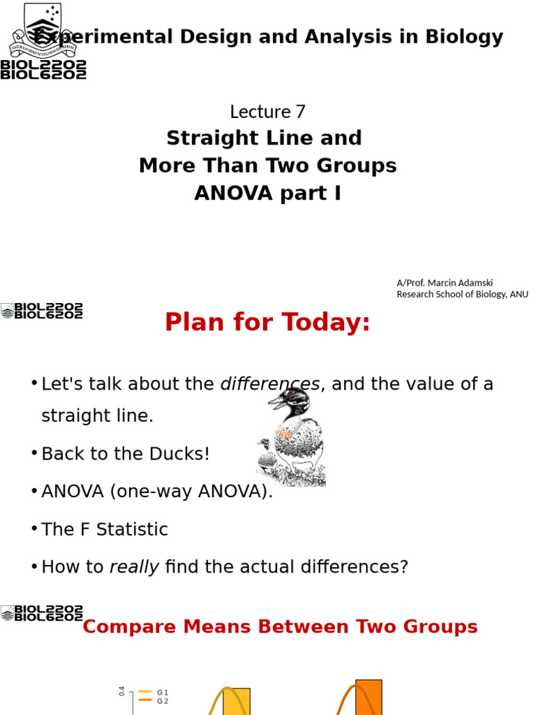 BIOL2202_lecture_07 (2) | PDF