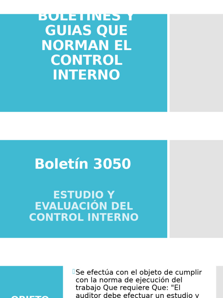Boletines y Guias Que Norman El Control Interno | PDF