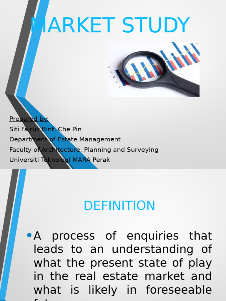 Market Study | PDF