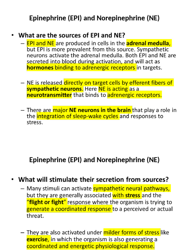 Epinephrine and Norepinephrine Extra | PDF