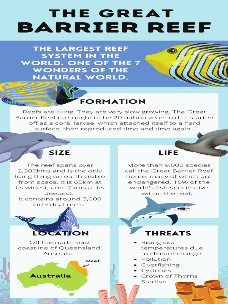 The Great Barrier Reef Infographic | PDF