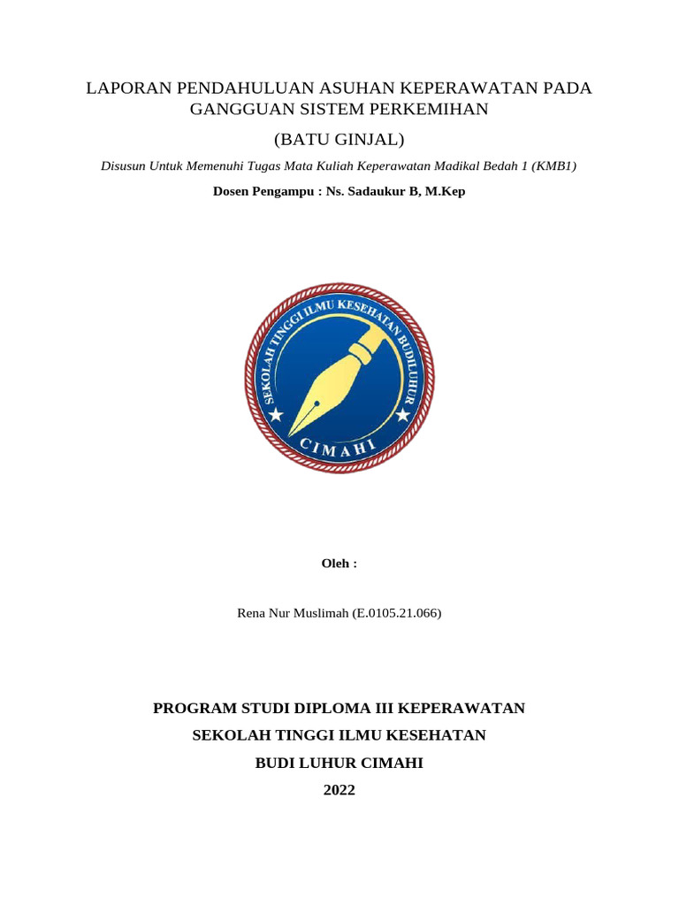 LP ASUHAN KEPERAWATAN PADA GANGGUAN SISTEM PERKEMIHAN BATU GINJAL (Revisi Fix) | PDF
