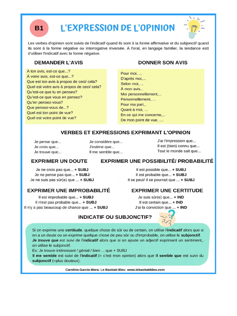 Exprimer L'opinion | PDF