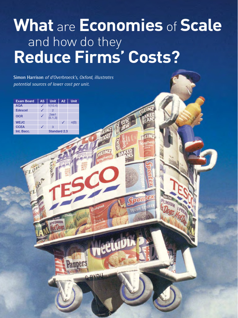 Economics of Scale and Costs | PDF