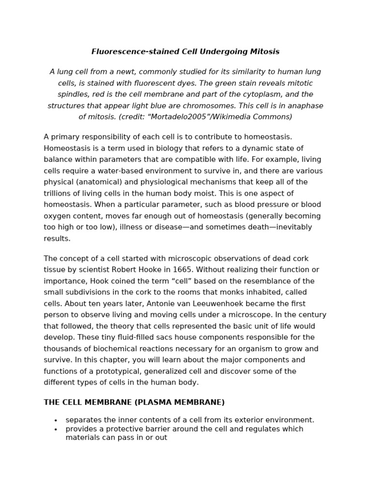 Module 2 Cell | PDF