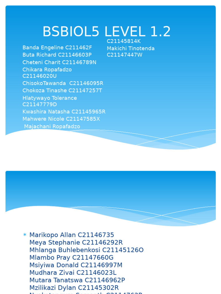 Report and Memo | PDF