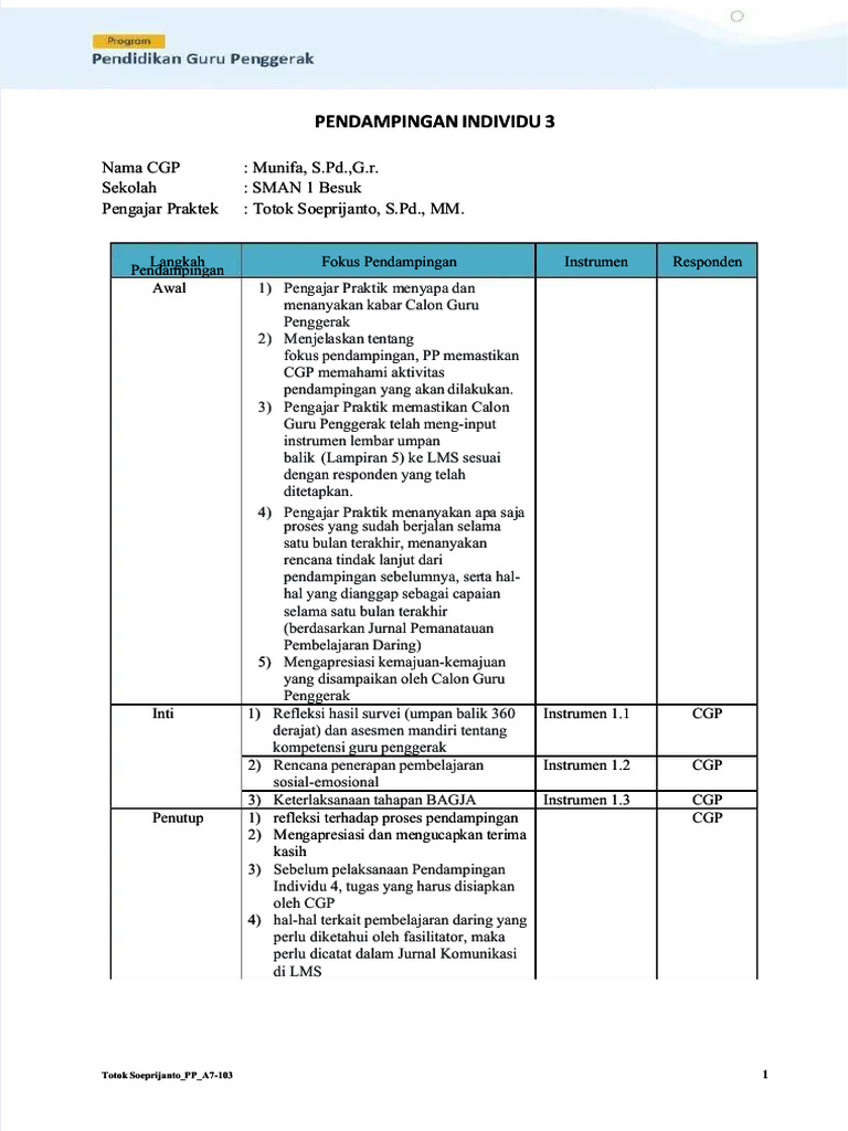 PDF Instrumen Pendampingan Individu 3 Compress | PDF