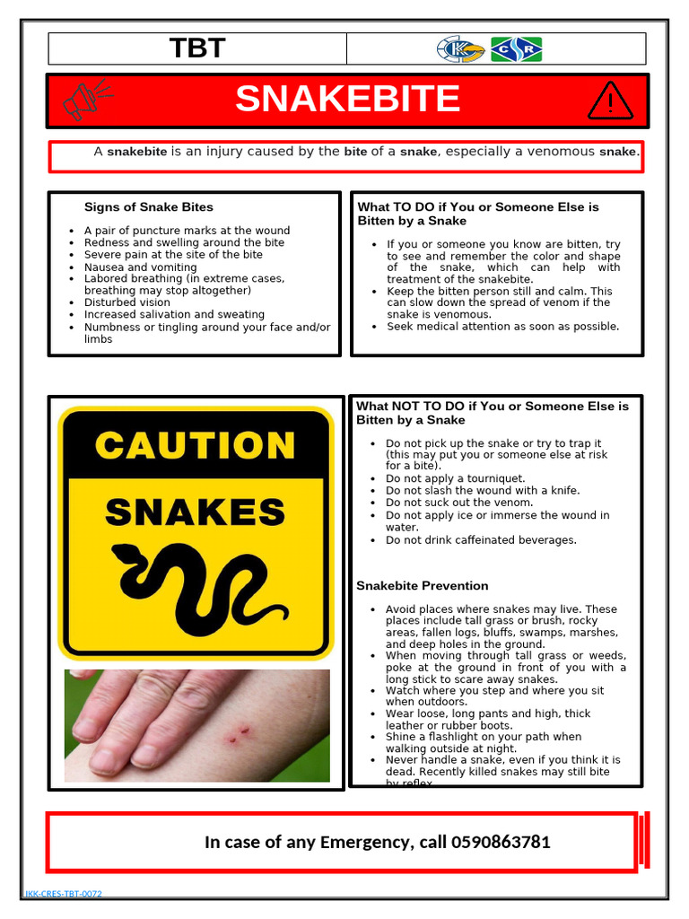 TBT-SNAKE BITE | PDF