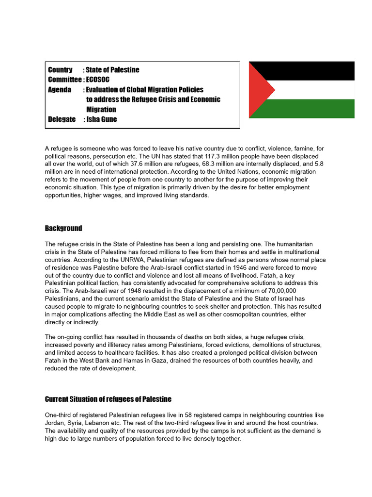 MUN Position Paper of The State of Palestine | PDF