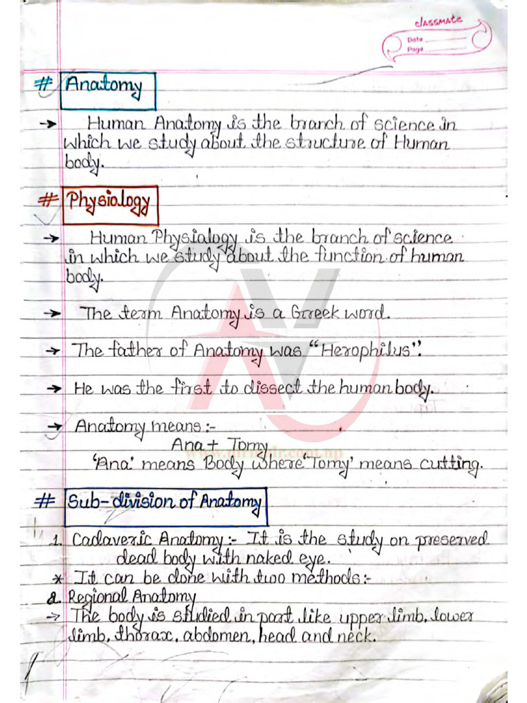 HA Lab Anatomy | PDF