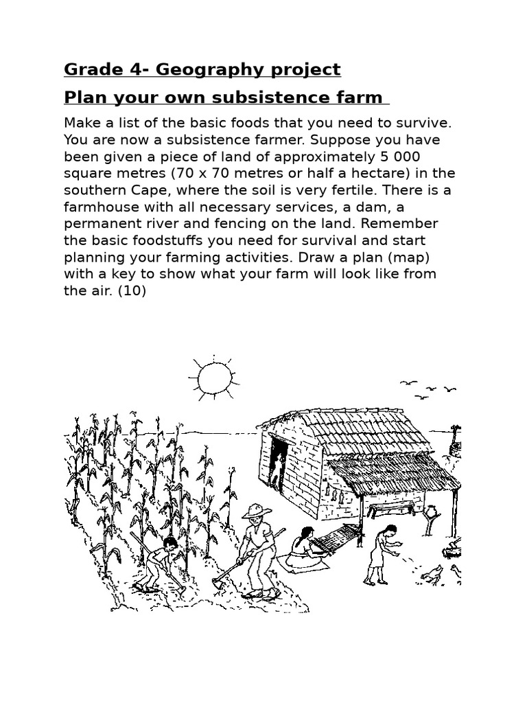 Grade 4 Project Subsistance Farming | PDF