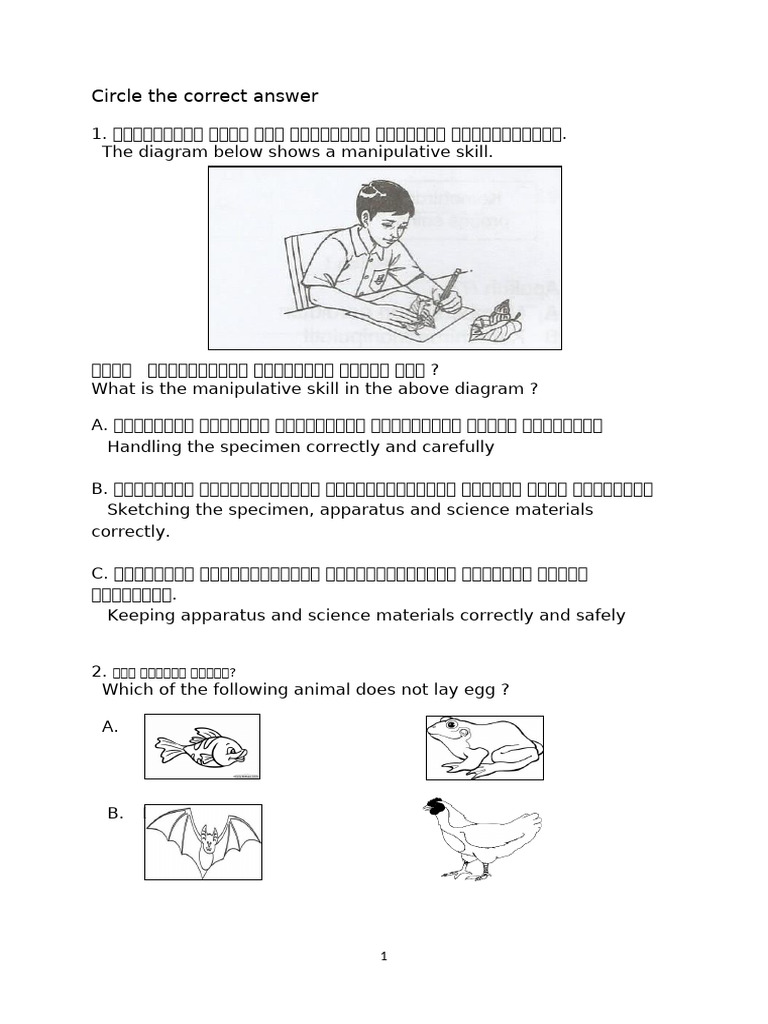 Science 1 Y2 | PDF