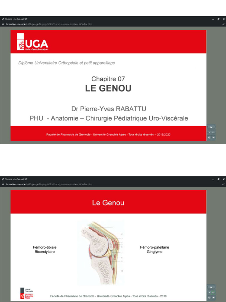 Anatomie Du Genou | PDF