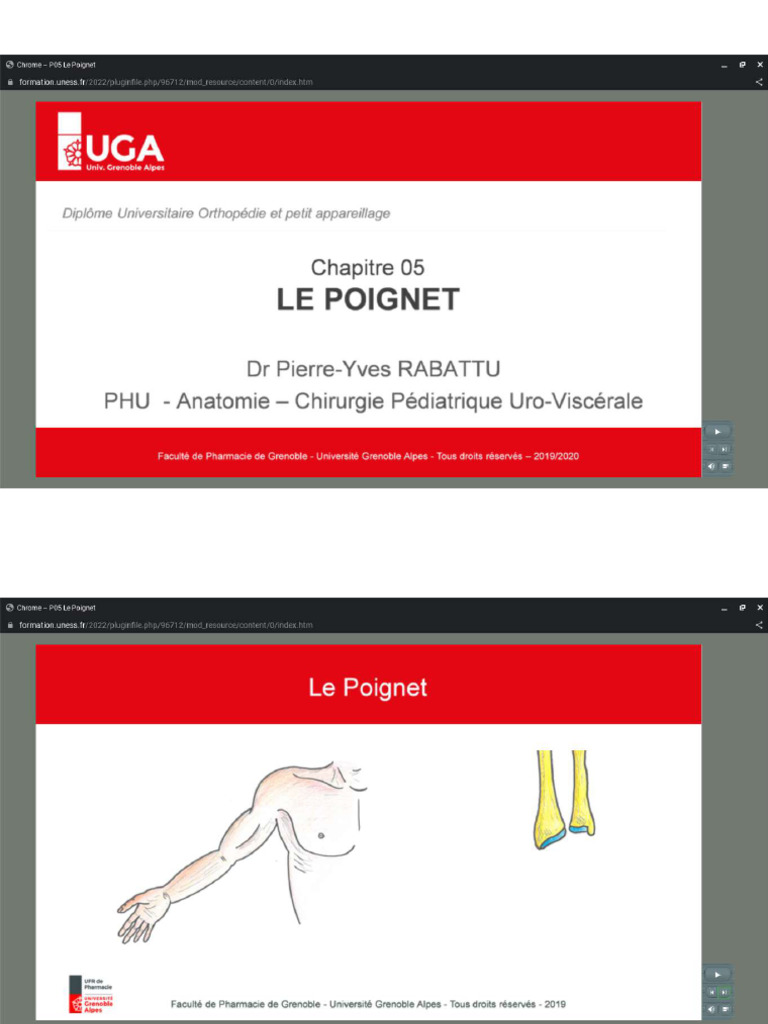 Anatomie du poignet | PDF