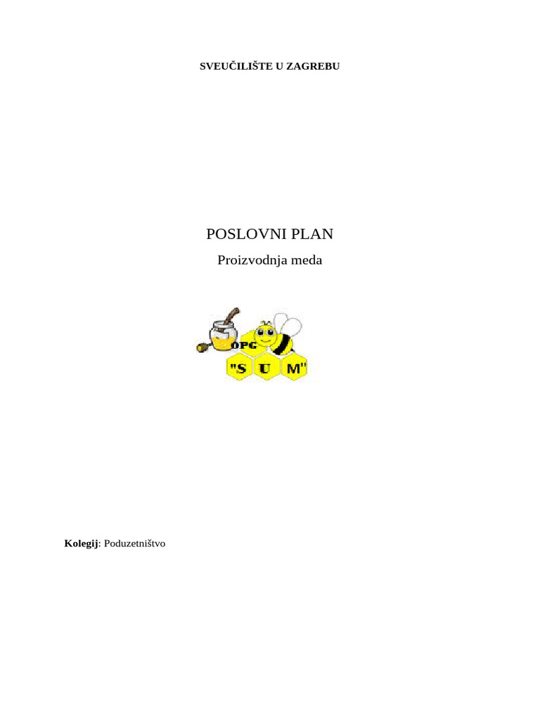 Poslovni Plan Template | PDF