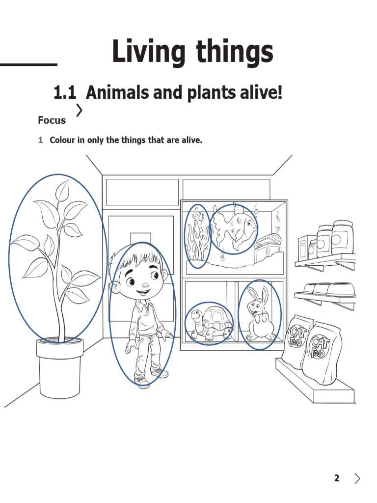 WB Unit 1 - Living Things | PDF