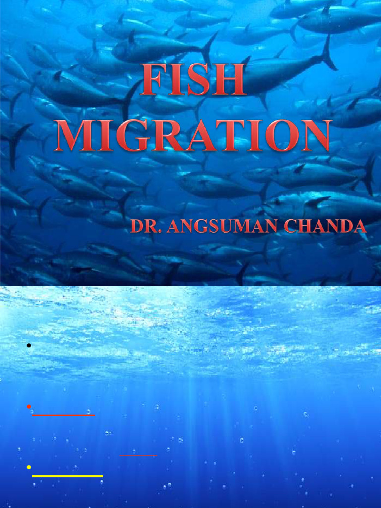 Fish Migration | PDF
