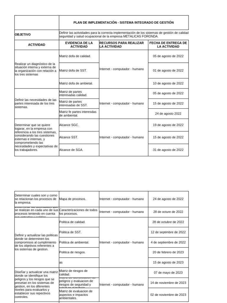 Plan de Implementacion | PDF