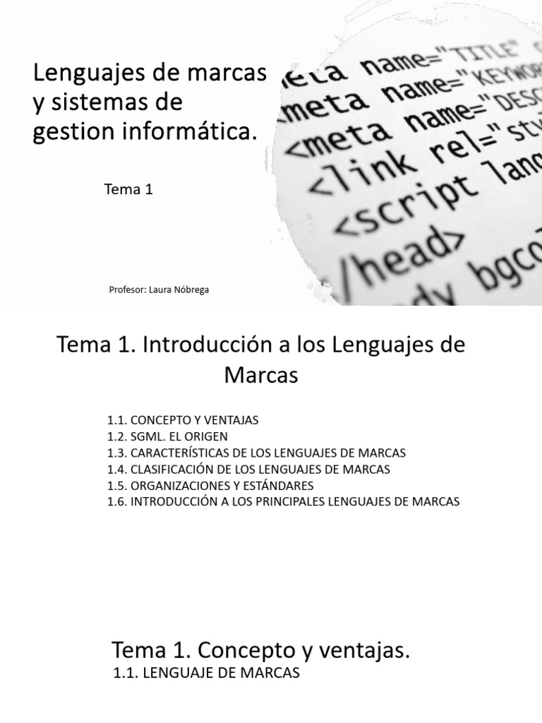 LMSG_Tema1 | PDF