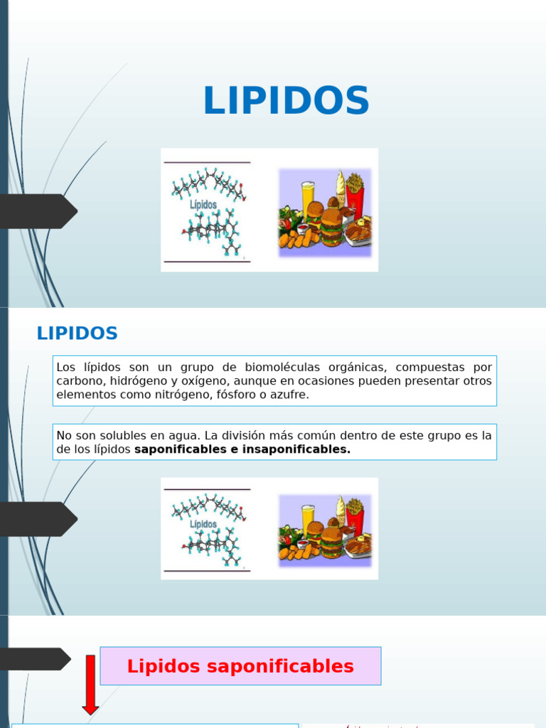 Lipidos | PDF