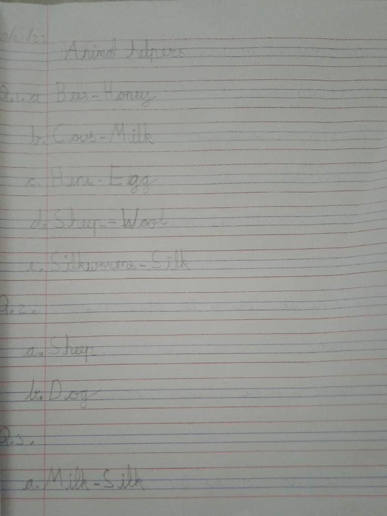 Animal Helpers - Kia Shah - 2c | PDF