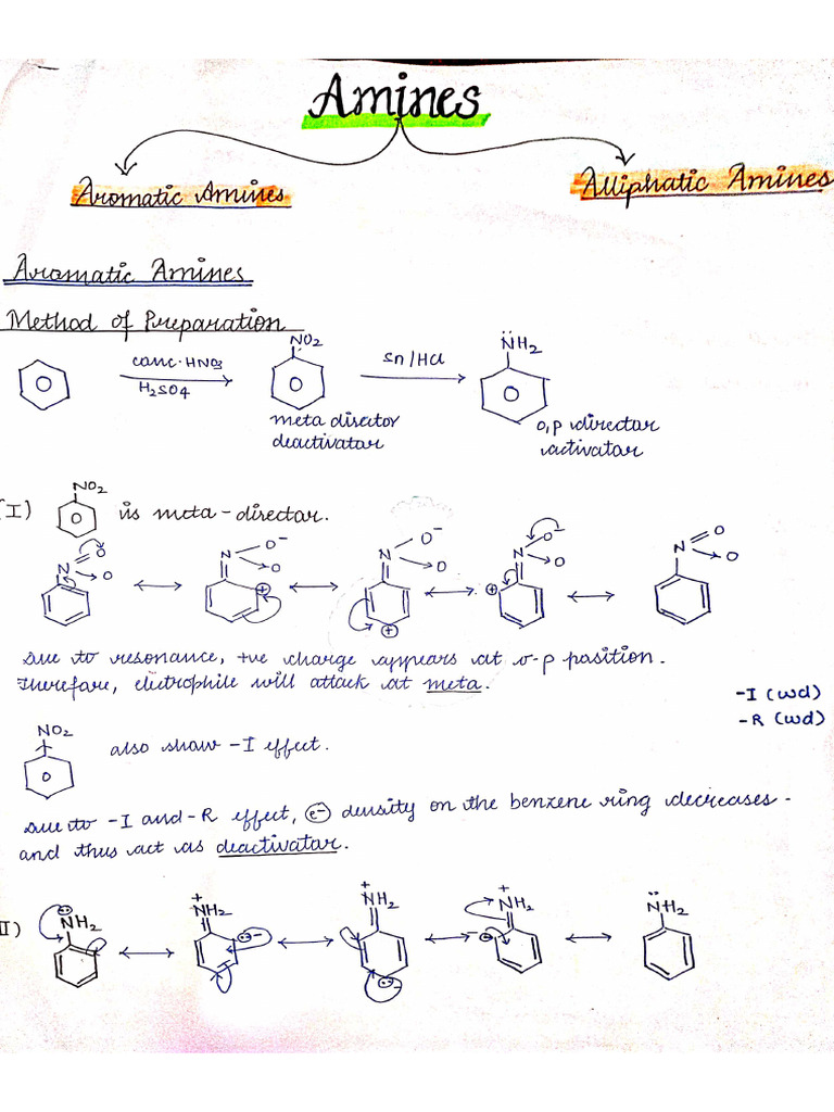 Amines | PDF