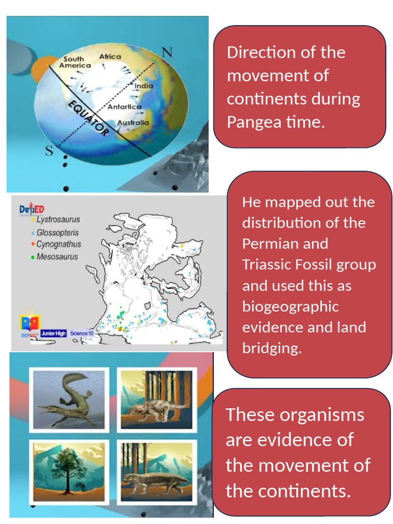 This Plant Is Possibly The Most Important Fossils Evidence Found | PDF