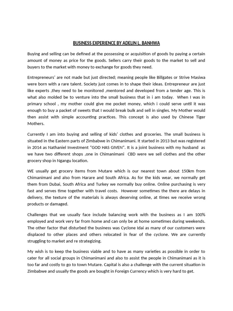 Business Experience | PDF