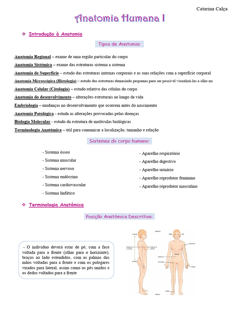 Anatomia Humana I Resumos Pdf