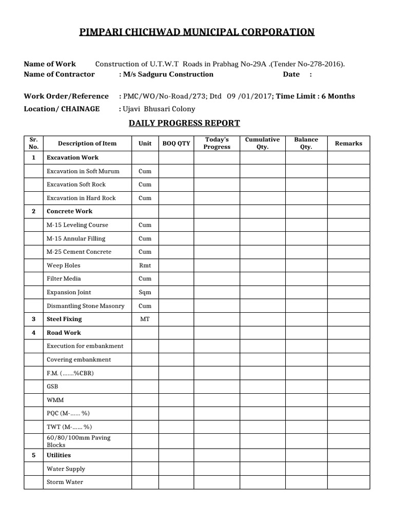 Daily Progress Report - Format | PDF