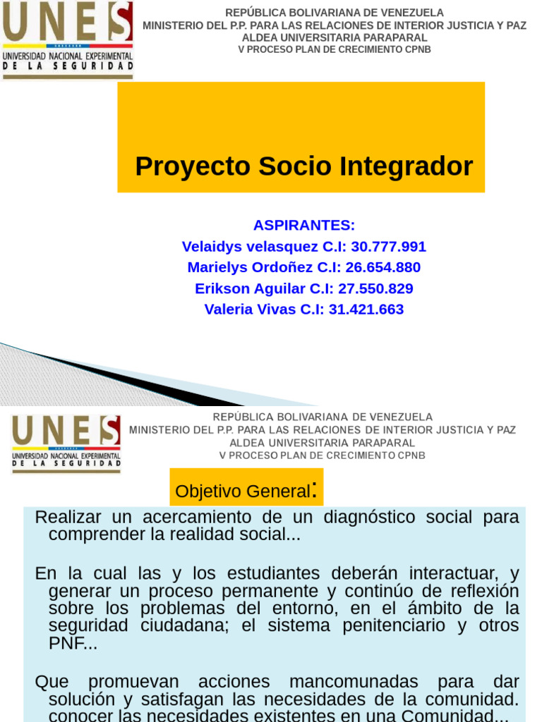Proyecto Socio Integrador PARAPARAL | PDF | Presupuesto | Diseño