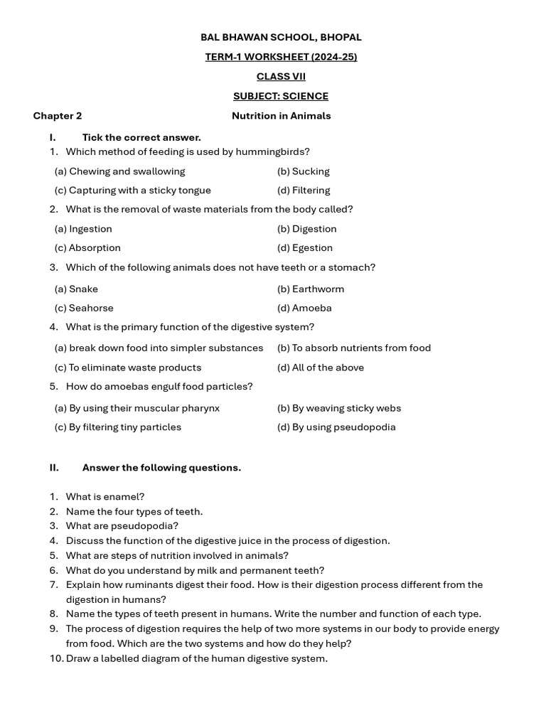 Worksheet Class 7 (24-25) - 1 | PDF