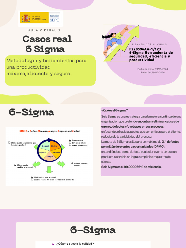 Caso Real 6 Sigma | PDF