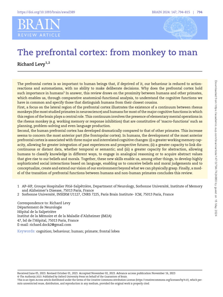 2024 - The Prefrontal Cortex | PDF | Prefrontal Cortex | Working Memory