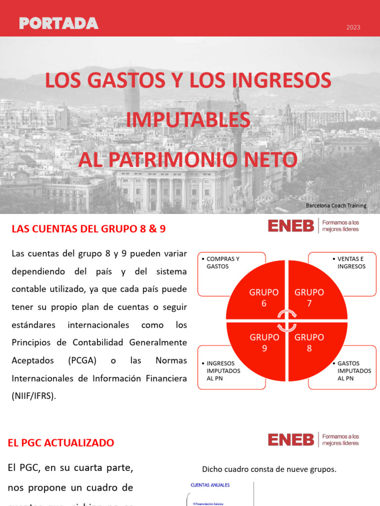 Gastos Imputados Al Patrimonio Neto | PDF