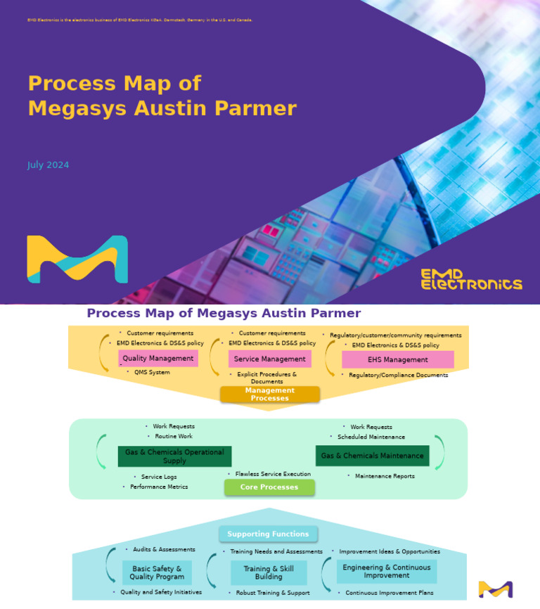 Megasys Austin Parmer Process Map | PDF
