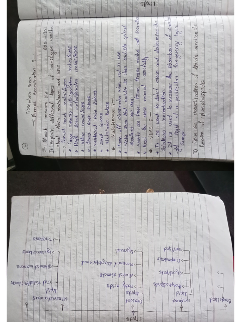 Antomy | PDF