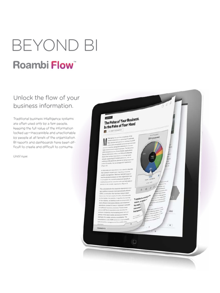 Roambi Flow Datasheet | PDF