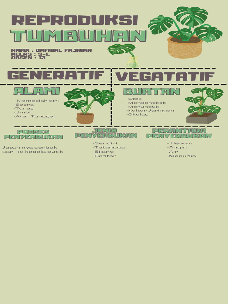 Green & Brown Monstera Plant Fun Facts Infographic - 20240815 - 112359 ...