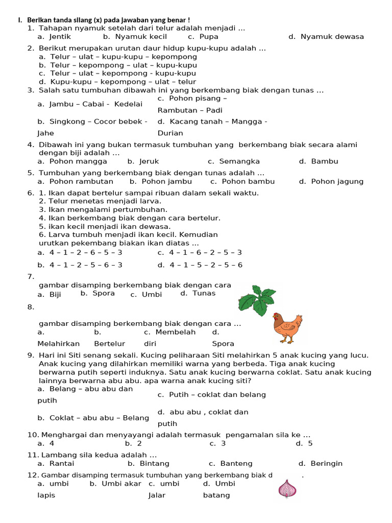 SOAL PTS Kelas 3 TEMA 1 Bagian 2 | PDF