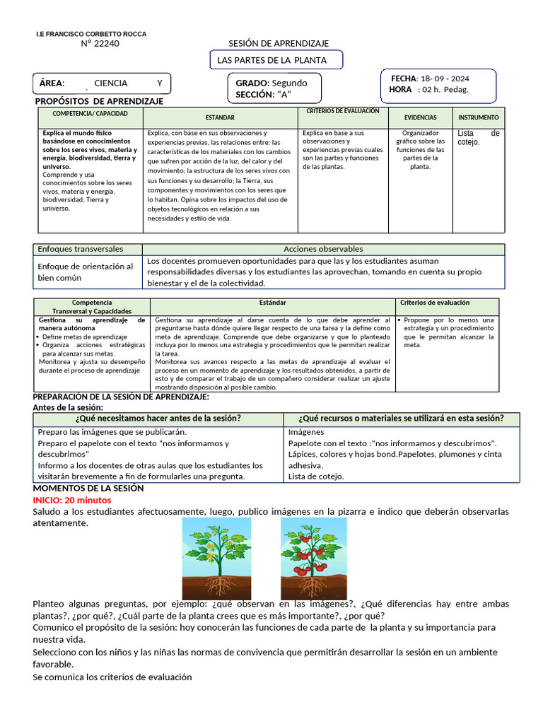 Partes de la planta | PDF