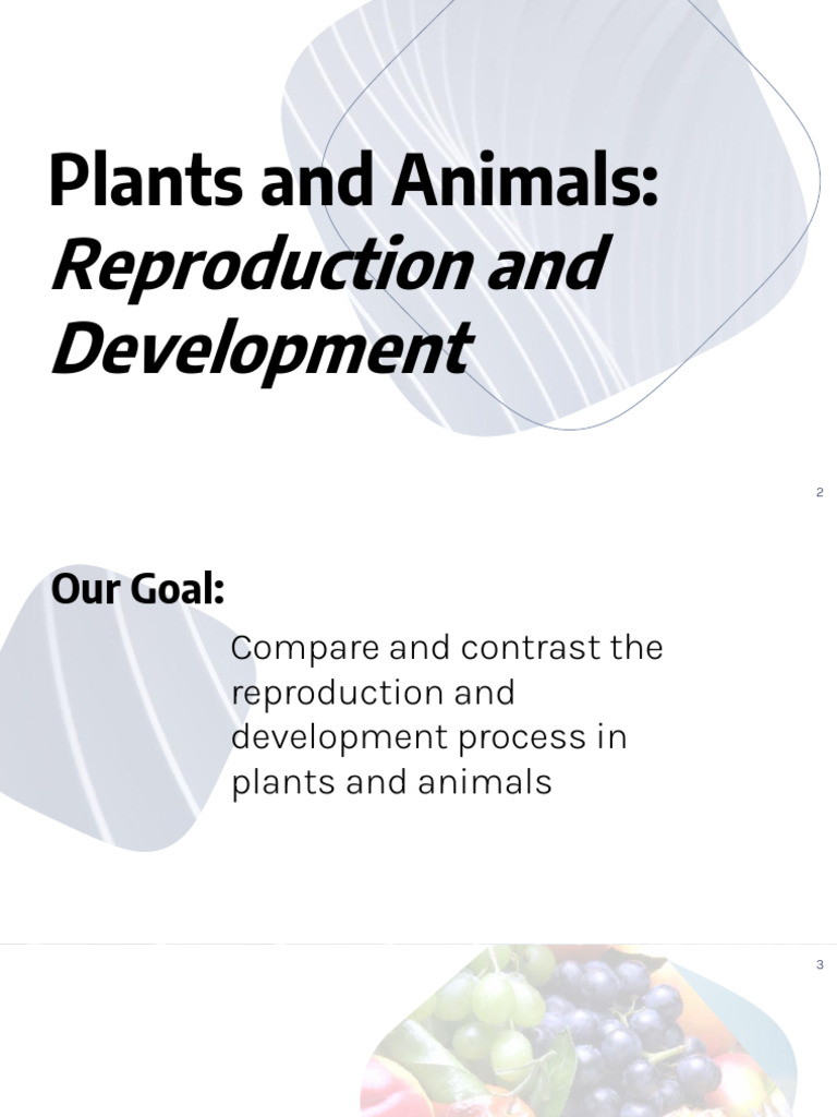 GB2 - 2reproduction and Development | PDF